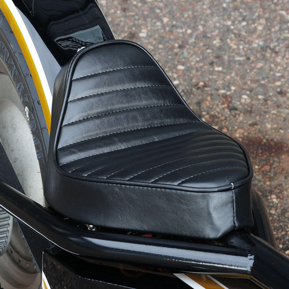 Everything you need to know before building a Sportster Chopper using ...